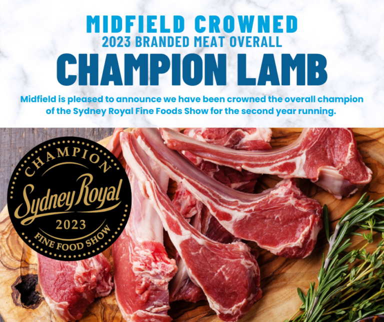 Home - The Midfield Group