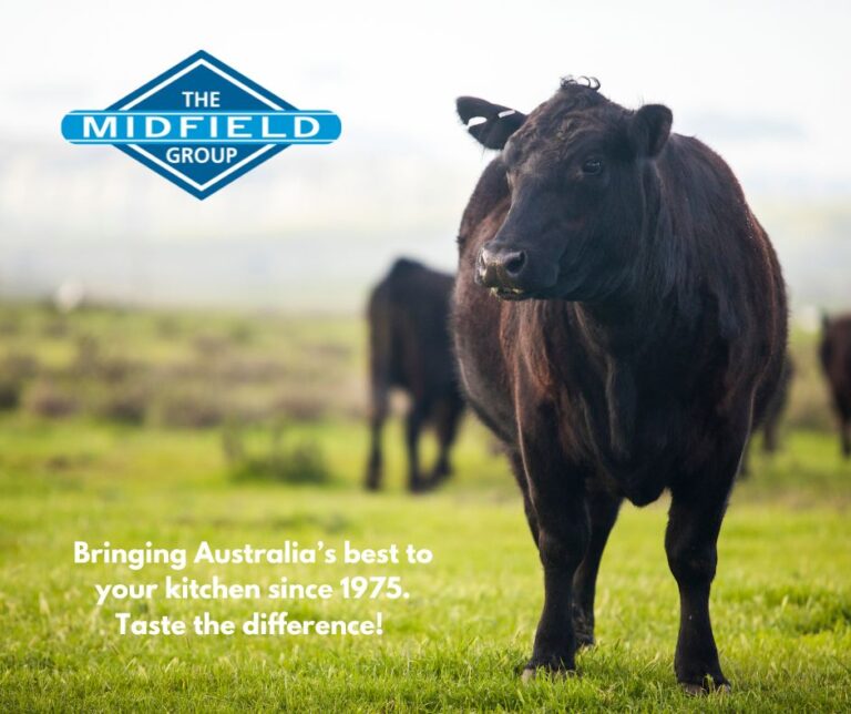 Home - The Midfield Group